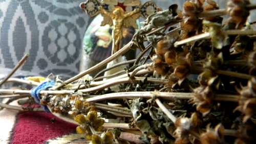 De ce se pune busuioc sub pernă în Ajun de Sfântul Andrei. Care este ...