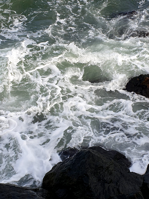 Fenomen rar la Marea Neagră. Nu s-a mai întâmplat așa ceva de 40 de ani ...