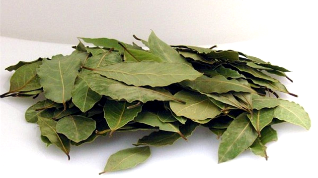 A înmuiat frunze de dafin în apă cu sare și a stropit prin toată casa ...