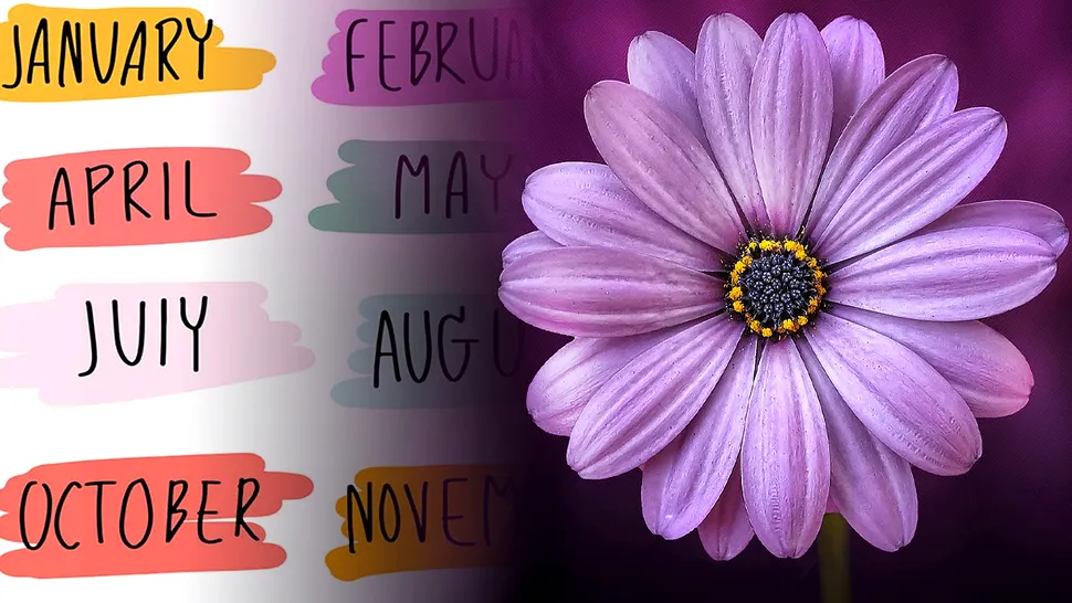 Care este floarea ta protectoare, în funcție de luna în care te-ai ...