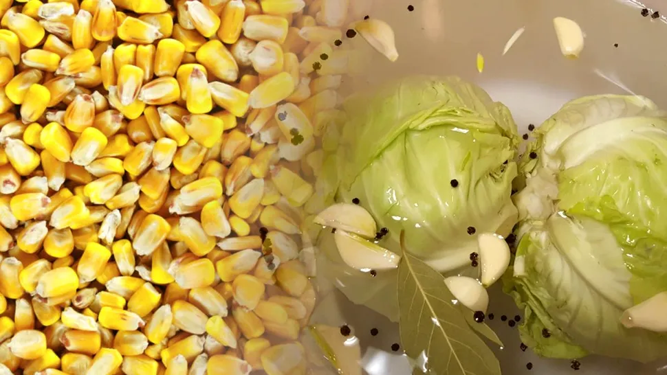 De ce să pui boabe de porumb în butoiul cu varză murată